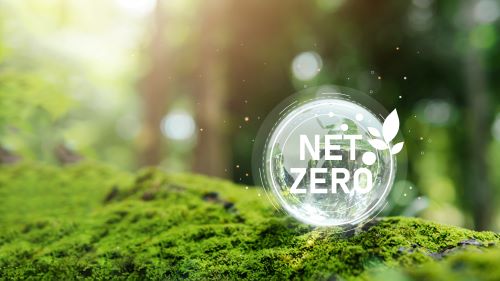 What are your Net Zero and Sustainability targets?